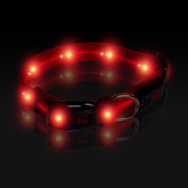 LED Adjustable Collar – Our Online Division